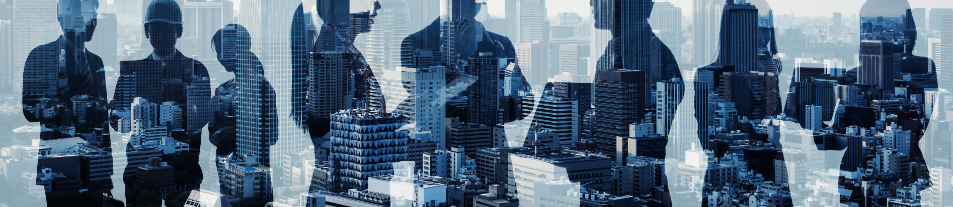 Contact - Zeta Cable